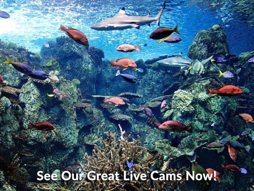 Calming Exercises for Kids - Guided Meditation Sessions - Mindful ...