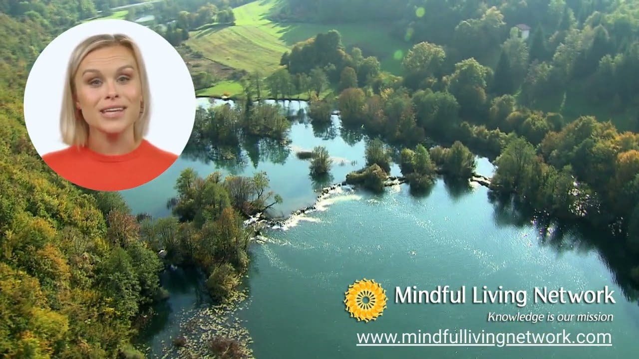 ‘What is Mindful Living’ Video Series: Part 3 - What is Mindful Living ...